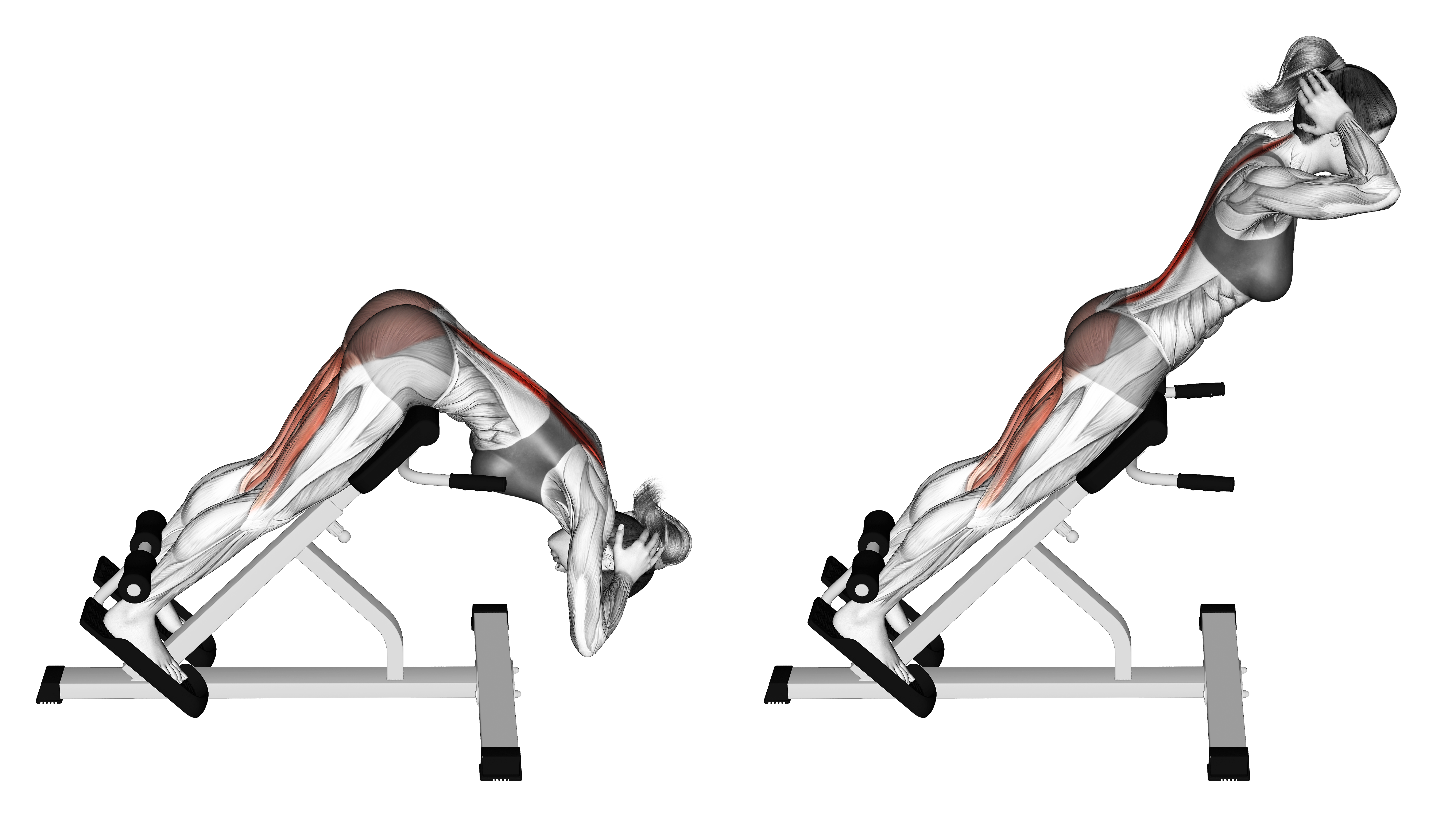 6 Best Upper Body Exercises That Don’t Use Wrists (with Pictures ...