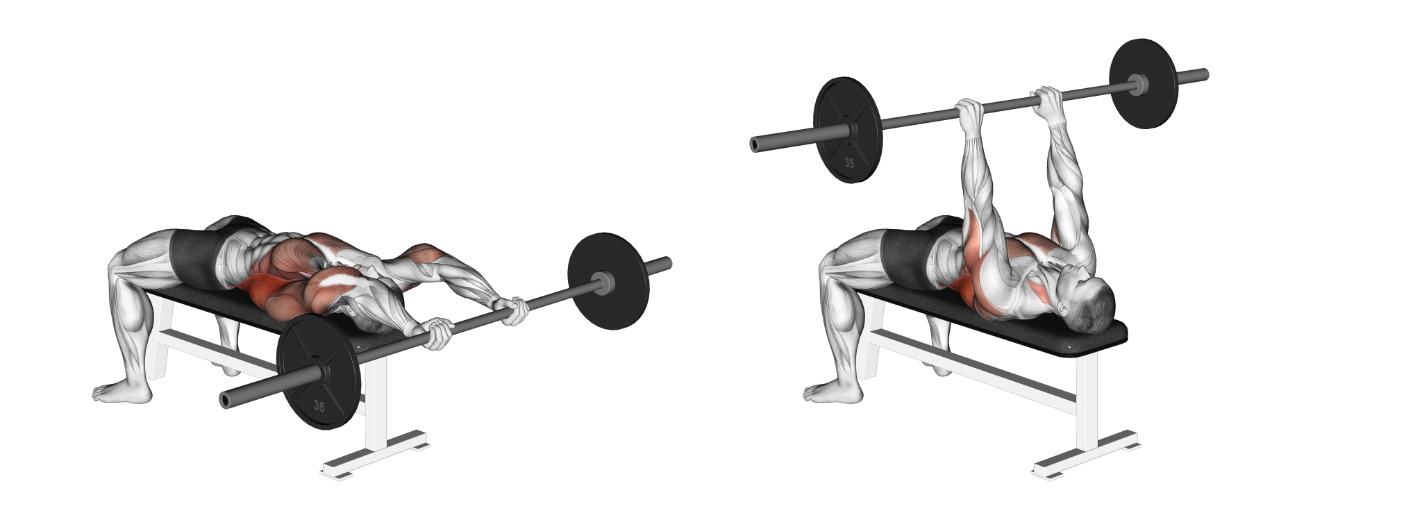 Barbell Pullover: Benefits, Muscles Worked, and More - Inspire US