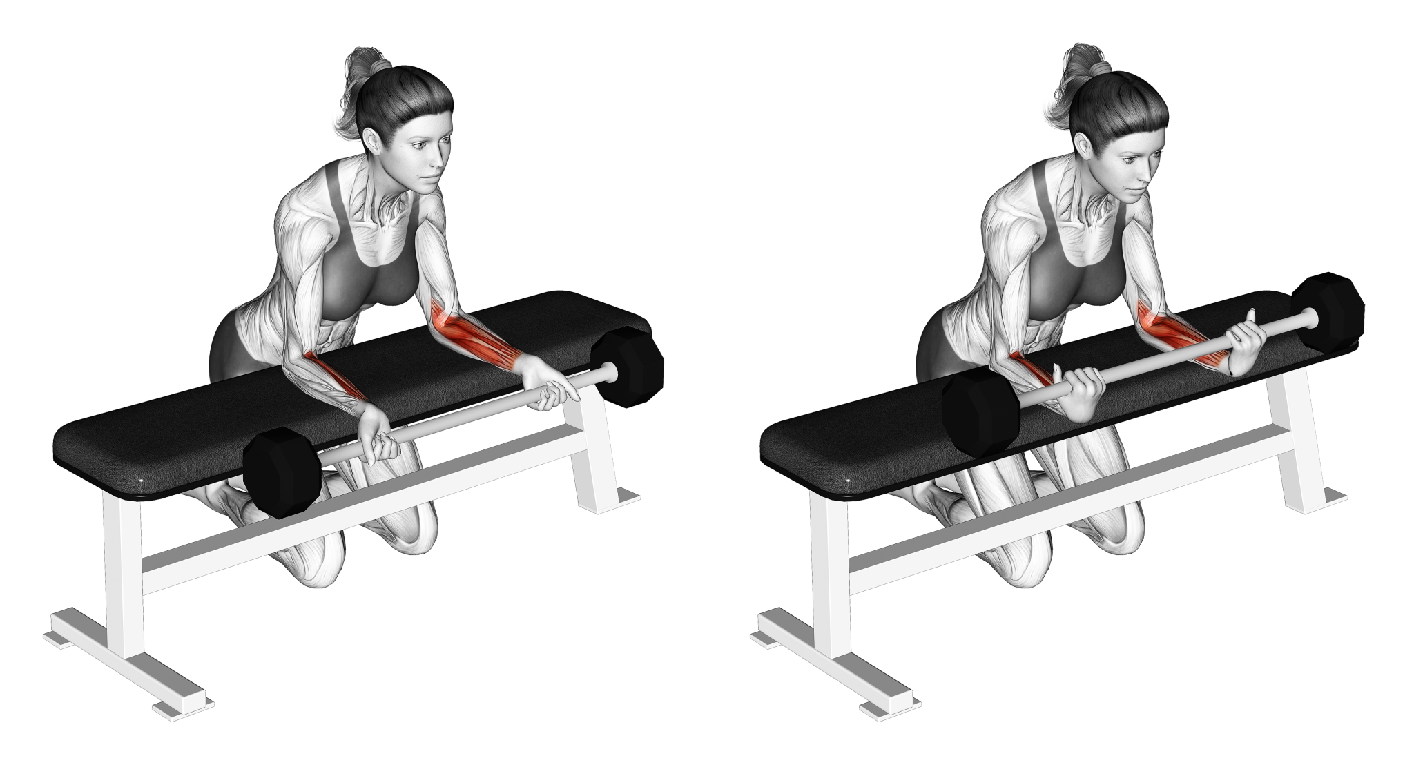 Barbell Wrist Curl: Benefits, Muscles Worked, and More - Inspire US