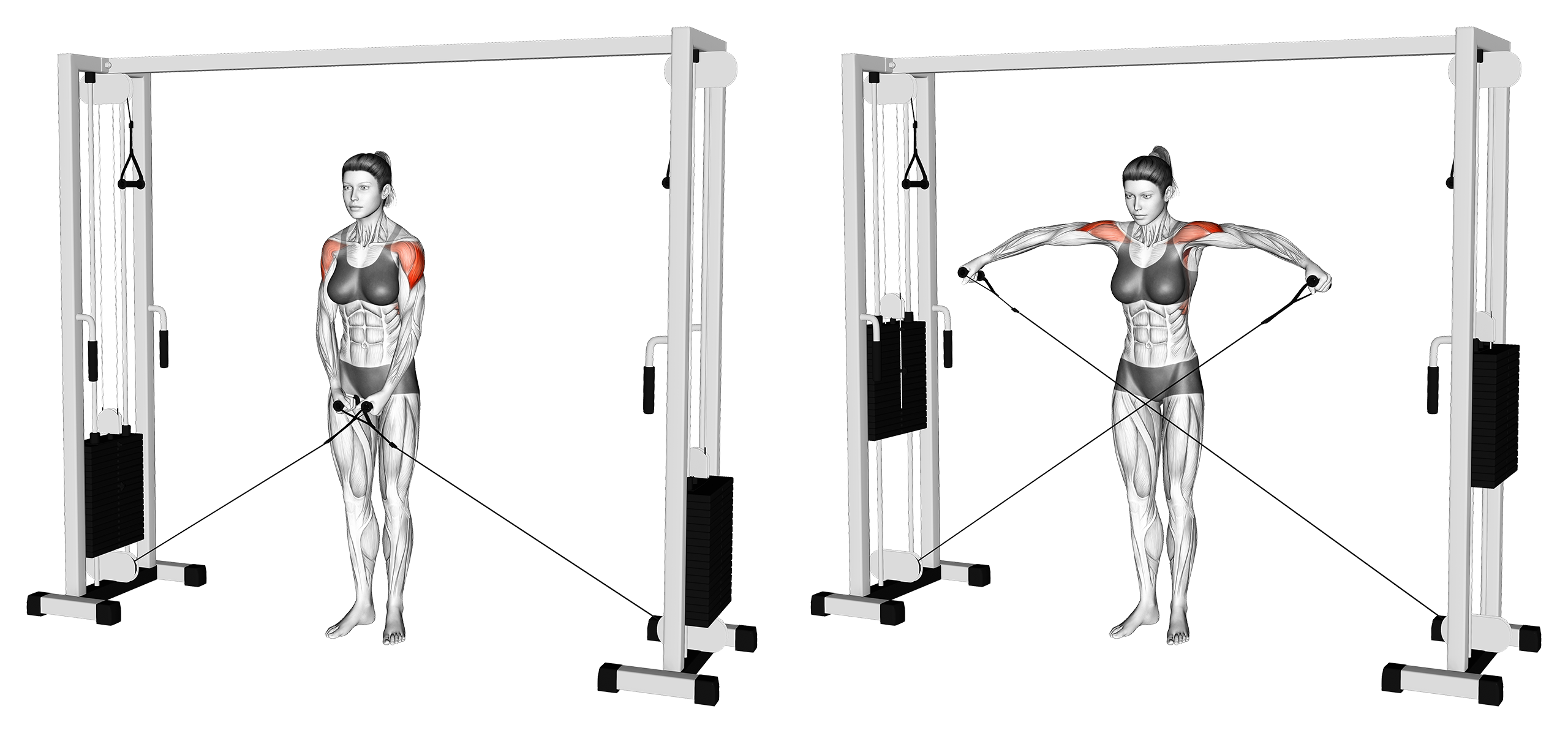 6 Best Cable Machine Shoulder Exercises (with Pictures!) - Inspire US