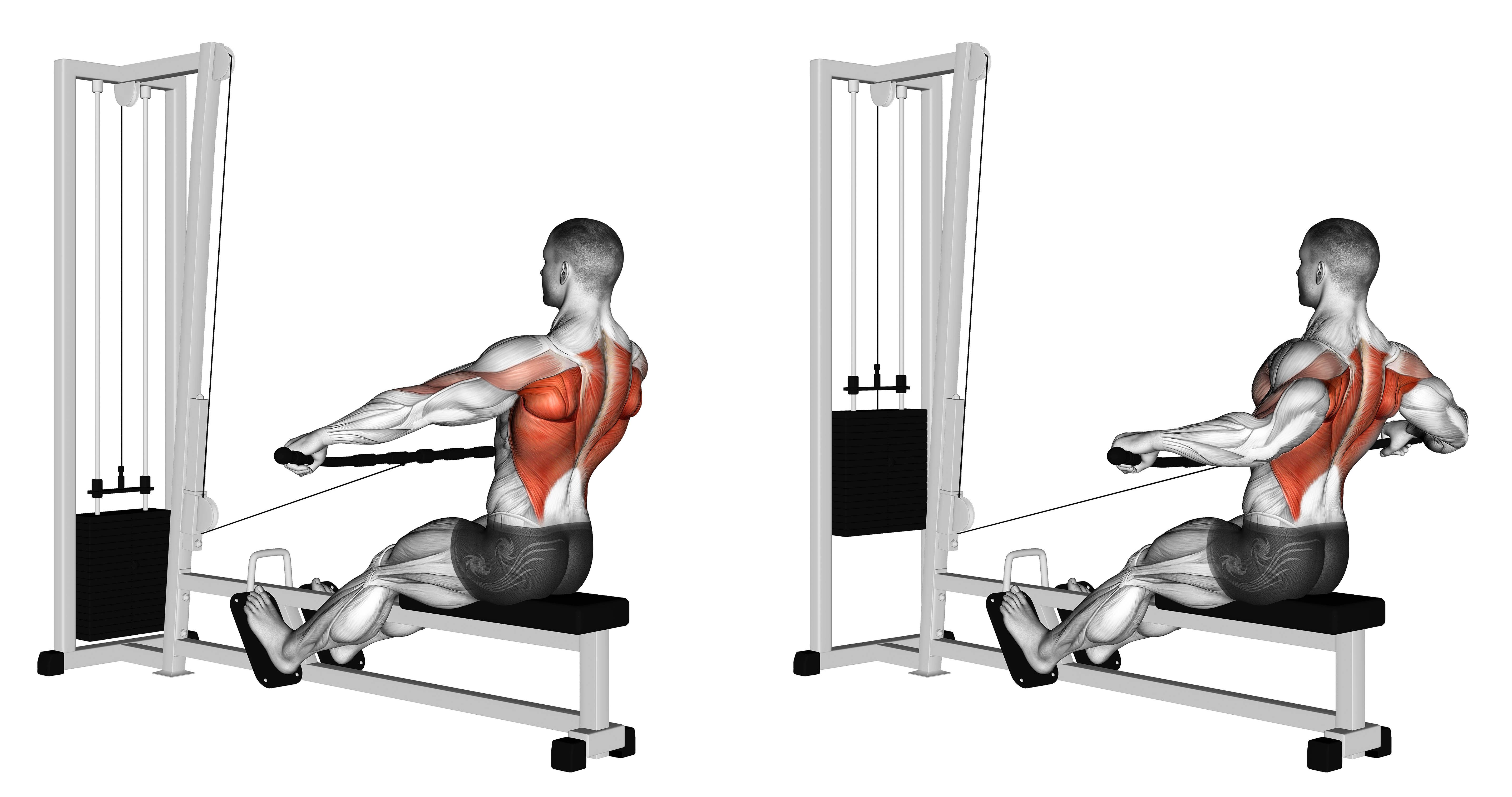 Wide Grip Cable Rows: Benefits, Muscles Worked, and More - Inspire US