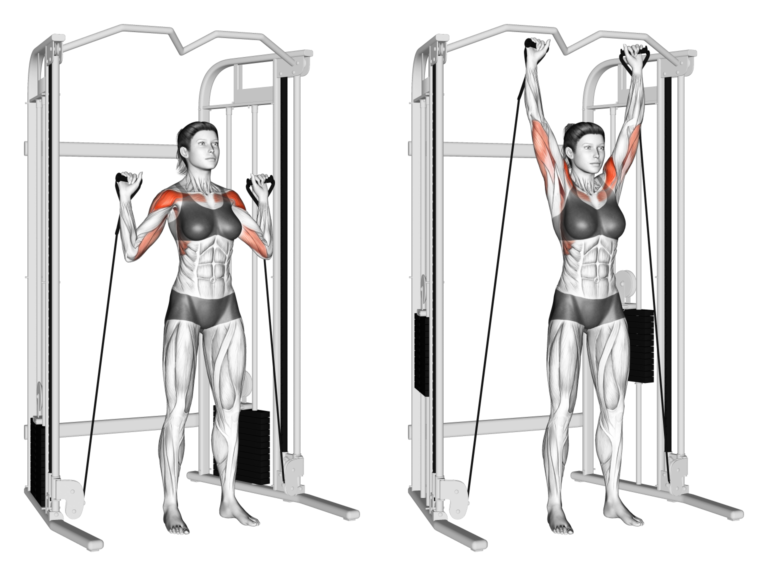 6 Best Cable Machine Shoulder Exercises (with Pictures!) - Inspire US