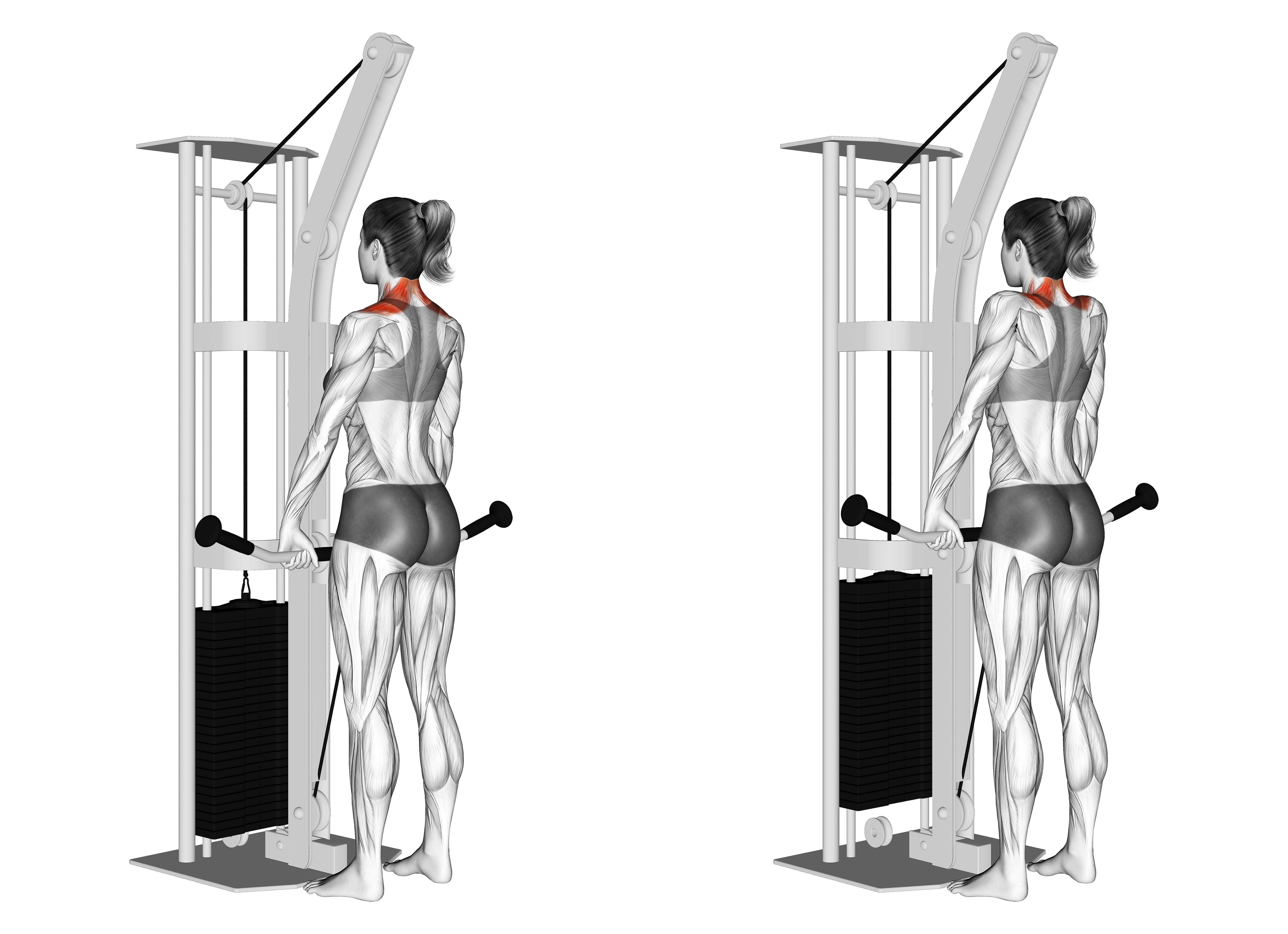 Cable Shrugs: Muscles Worked and More - Inspire US