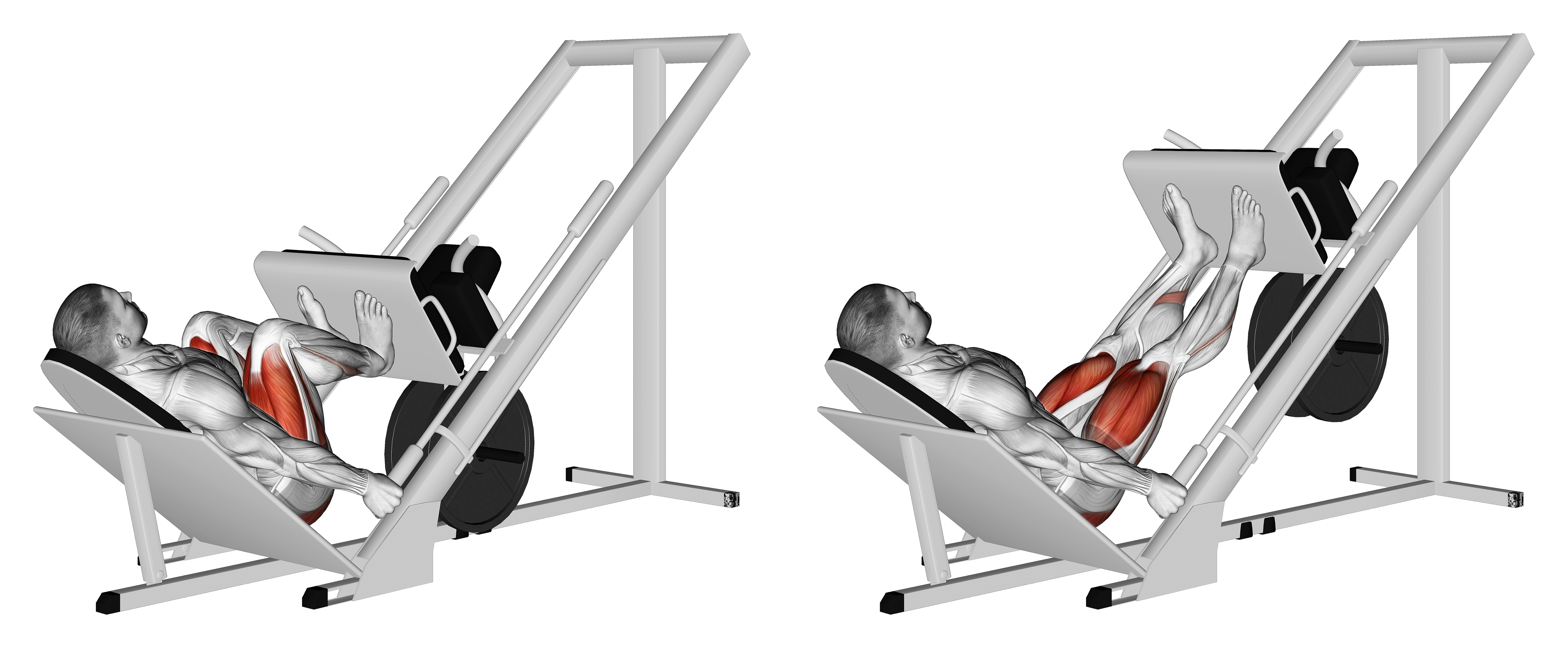 6 Best Outer Quad Exercises (with Pictures!) - Inspire US