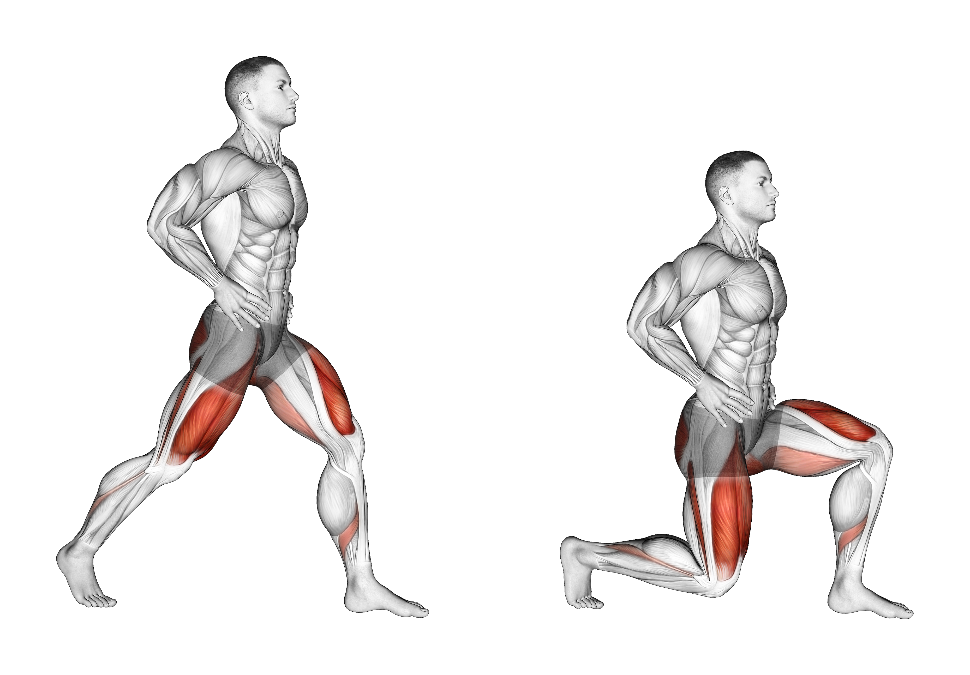 7 Best Bodyweight Squat Variations (with Pictures!) - Inspire US