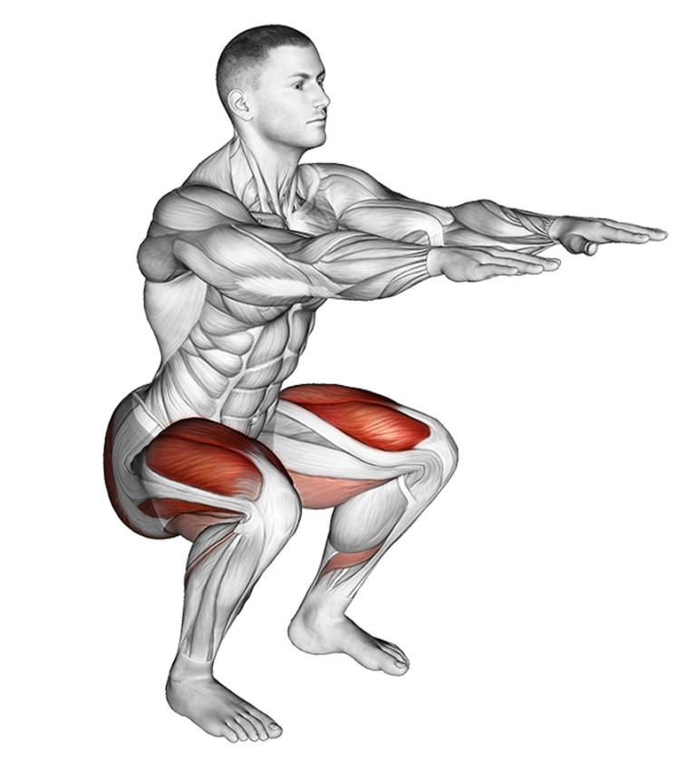 7 Best Bodyweight Squat Variations (with Pictures!) - Inspire US