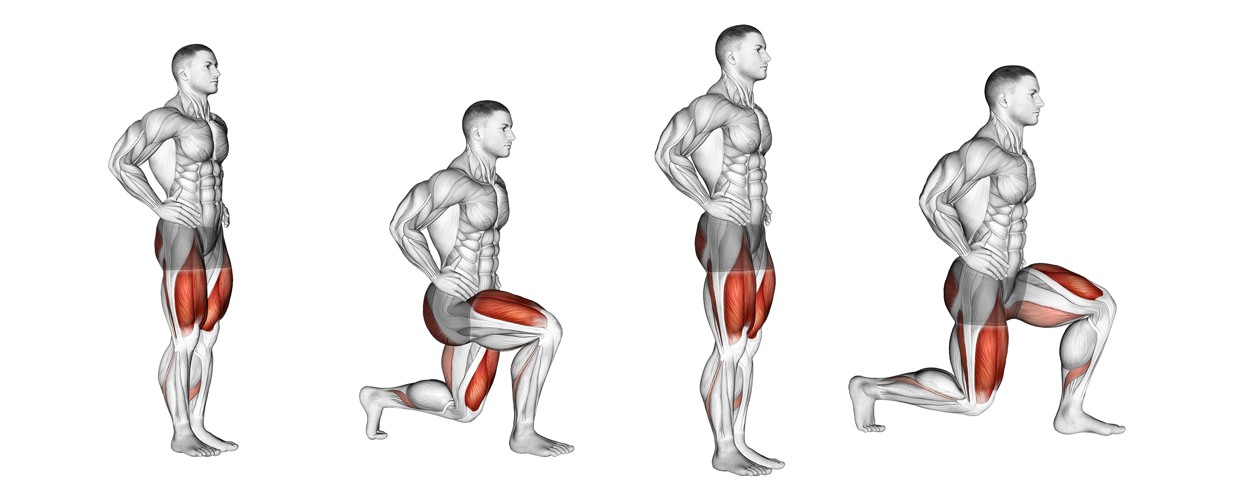 7 Best Types of Lunge Variations (with Pictures!) - Inspire US