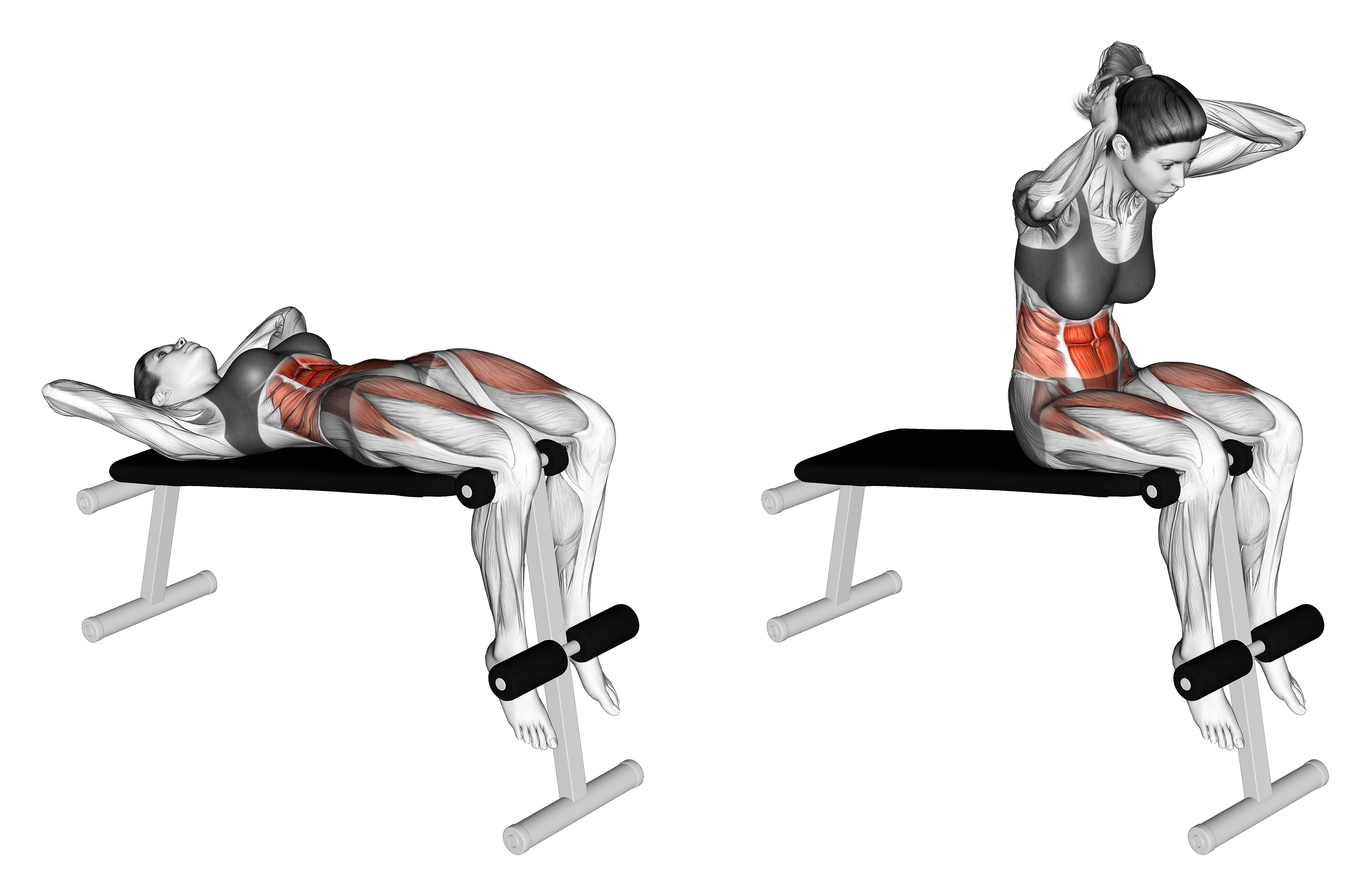 Decline Sit Up: Benefits, Muscles Worked, and More - Inspire US