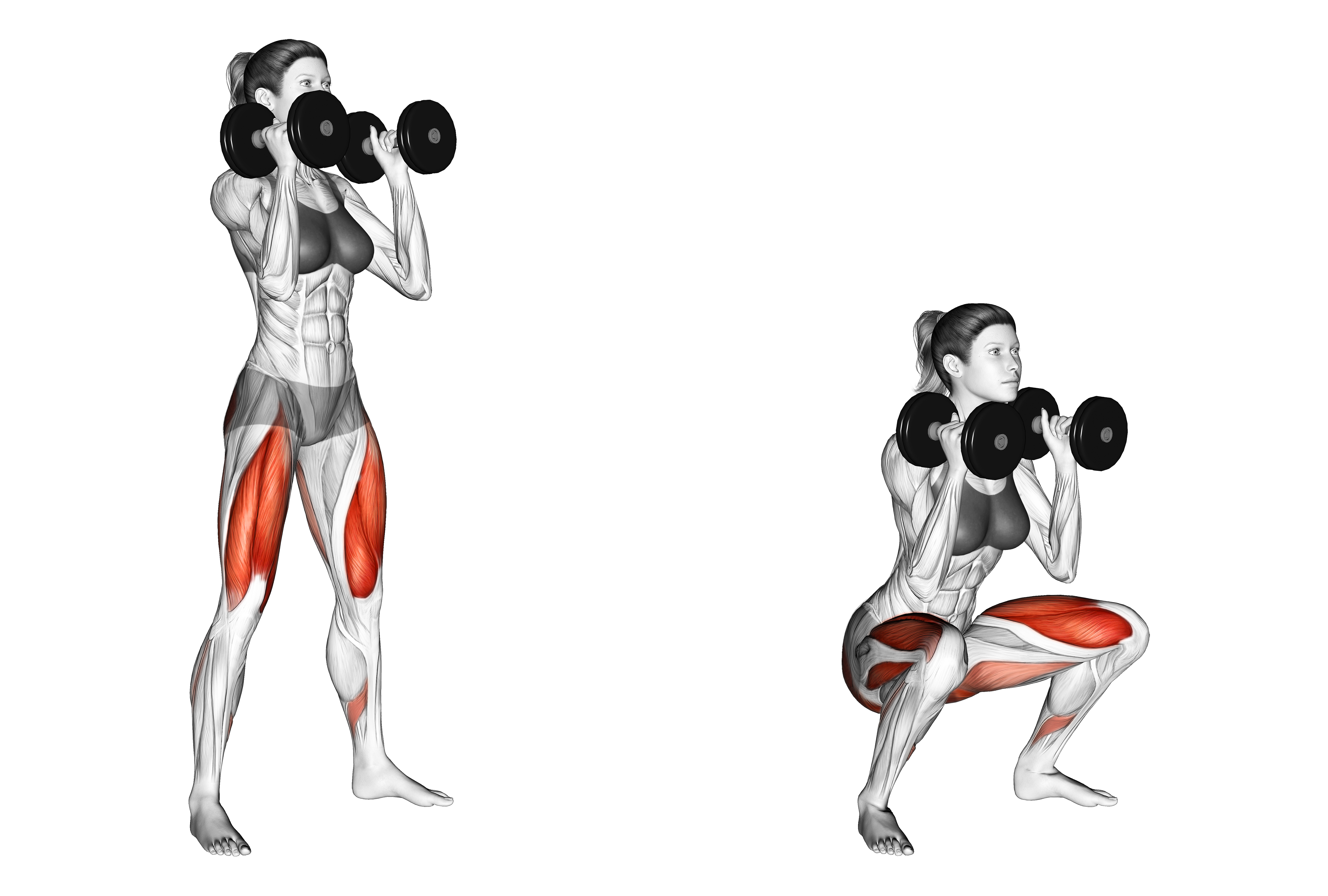 Dumbbell Front Squat: Muscles Worked and More - Inspire US