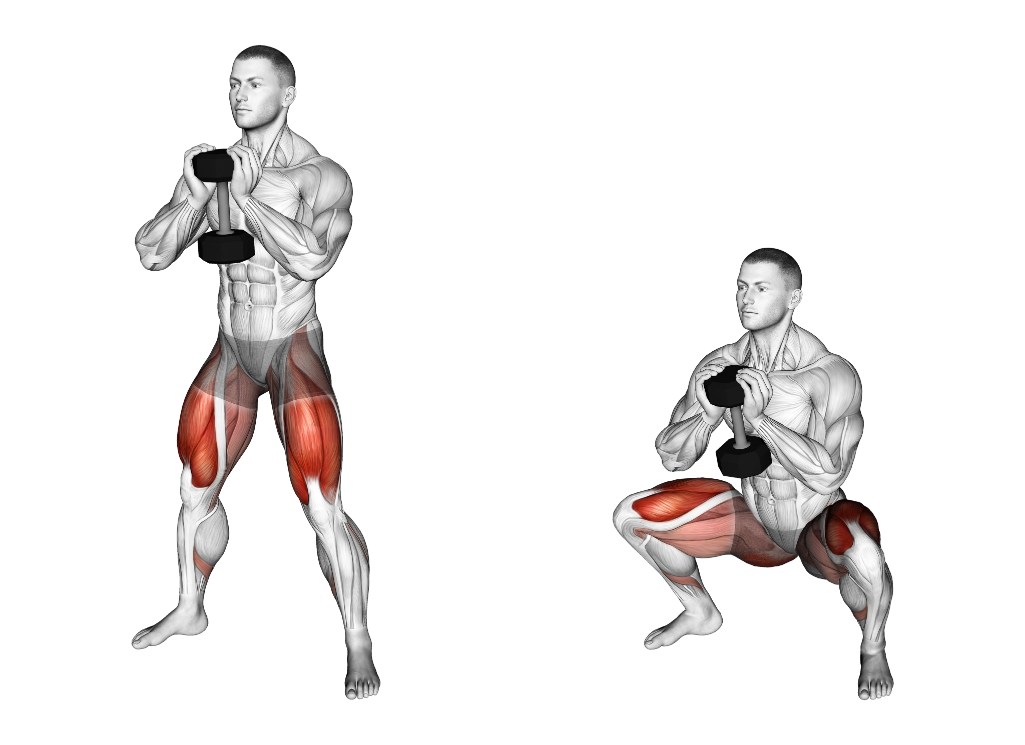 6 Best Goblet Squat Variations (with Pictures!) - Inspire US
