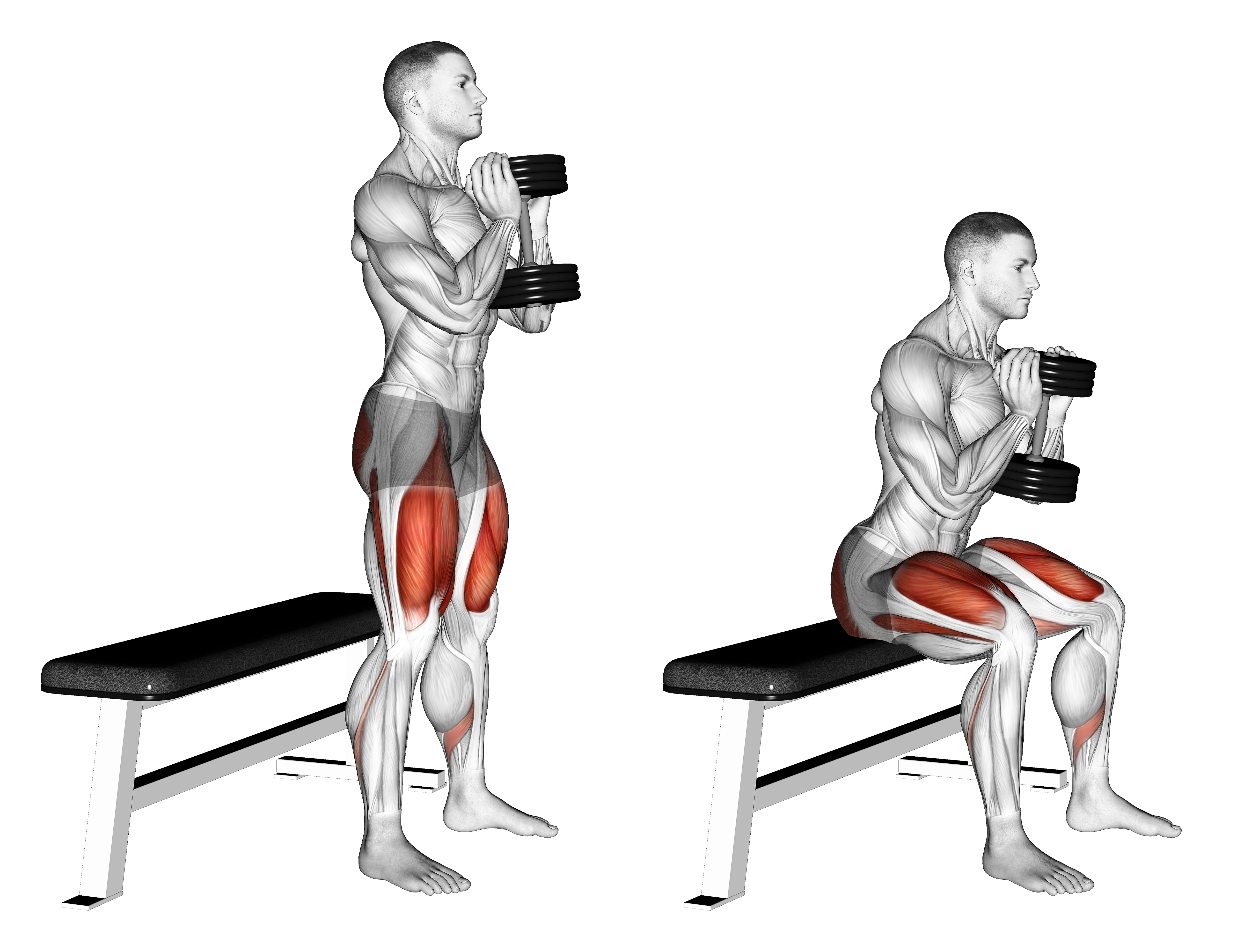 6 Best Goblet Squat Variations (with Pictures!) - Inspire US