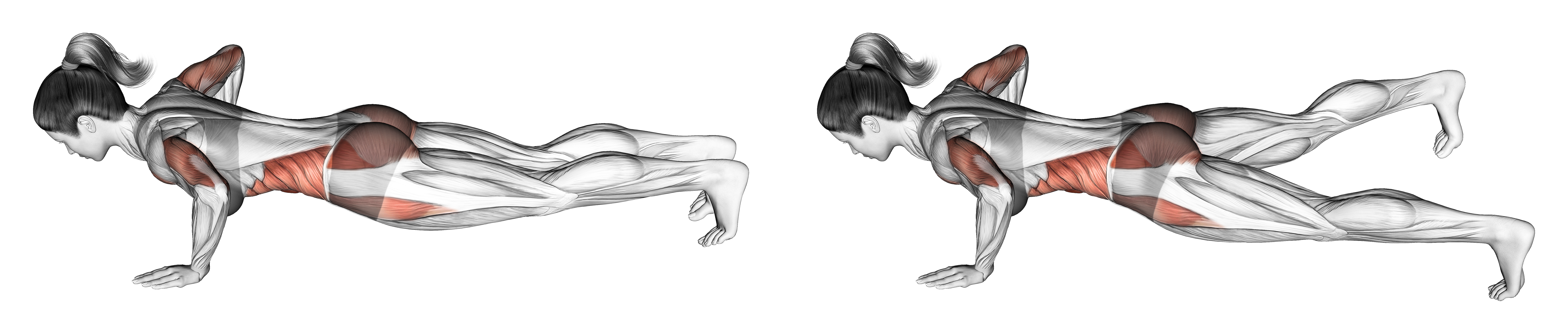 6 Best Plank Alternatives (with Pictures!) - Inspire US