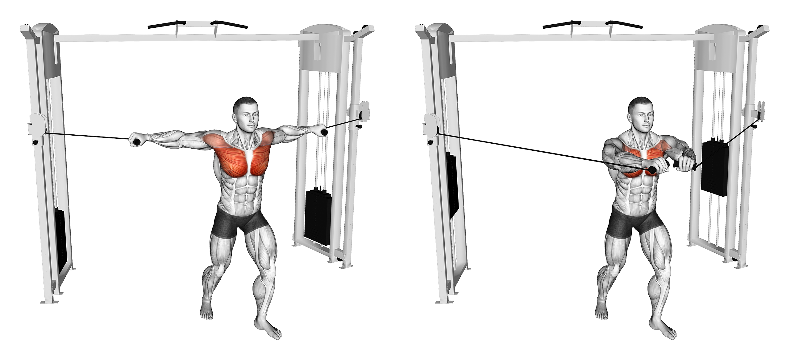 7 Best Cable Flyes Variations (with Pictures!) - Inspire US