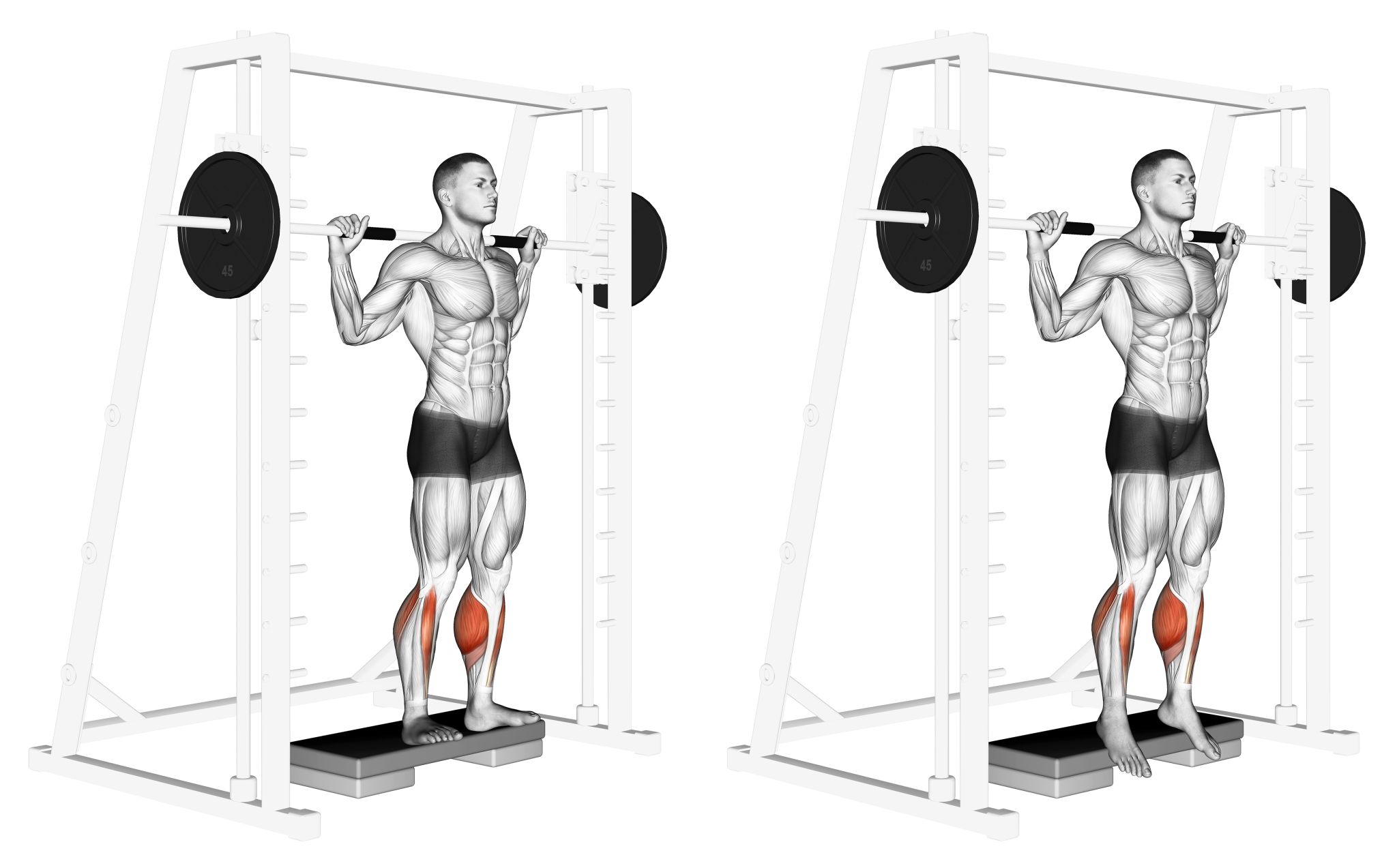 7 Best Calf Raise Variations (with Pictures!) - Inspire US