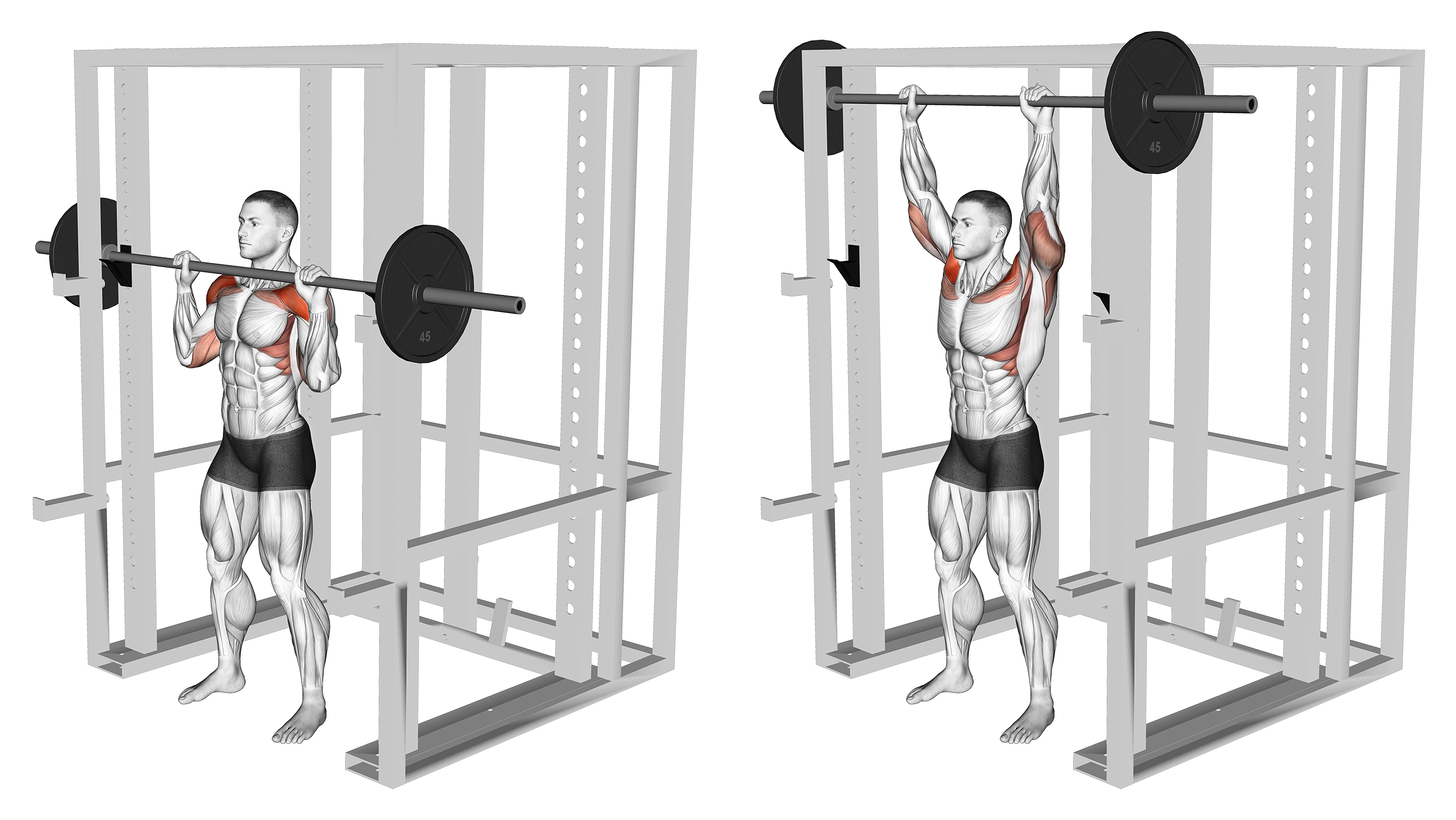 7 Best Shoulder Press Variations (with Pictures!) - Inspire US