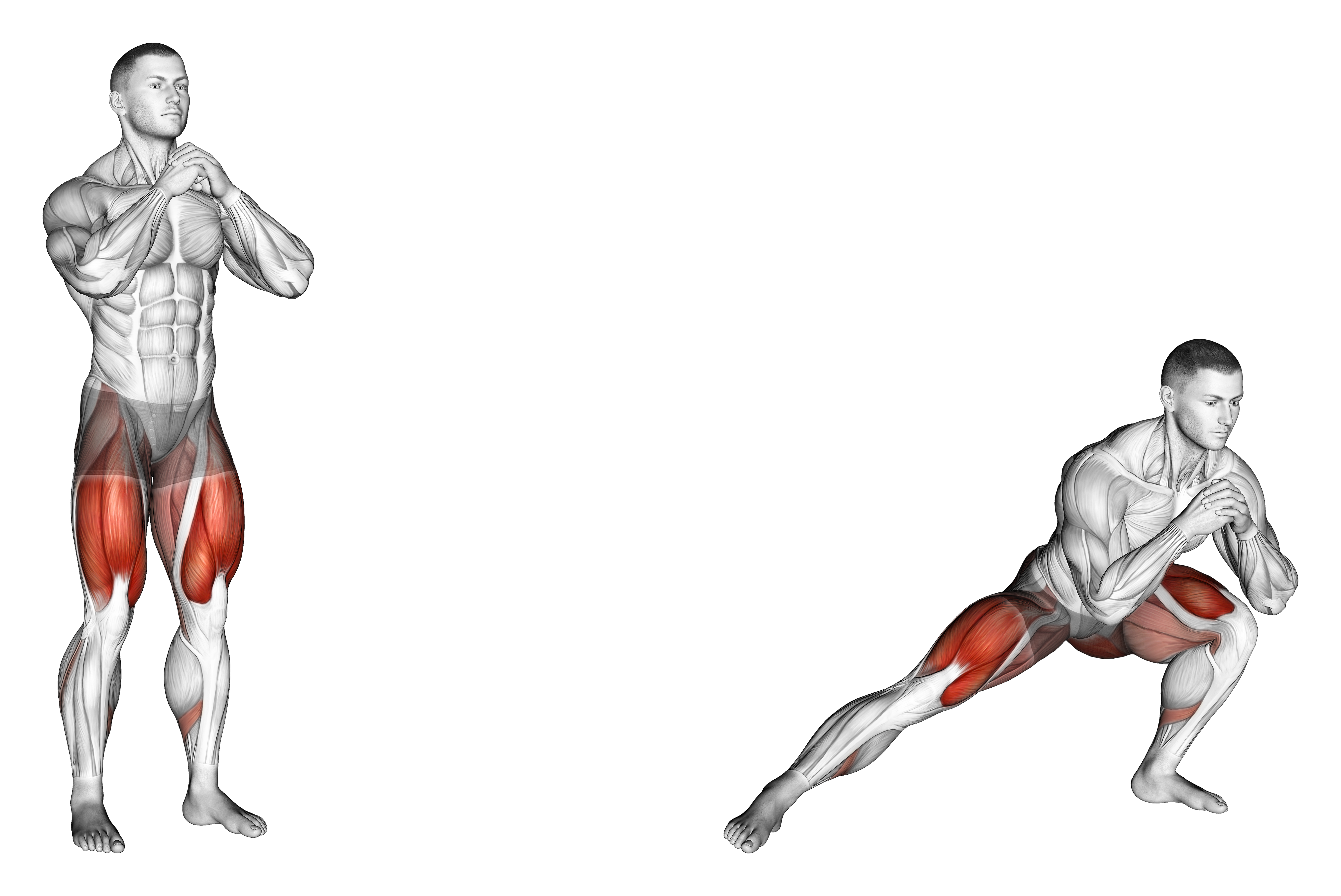 7 Best Types of Lunge Variations (with Pictures!) - Inspire US