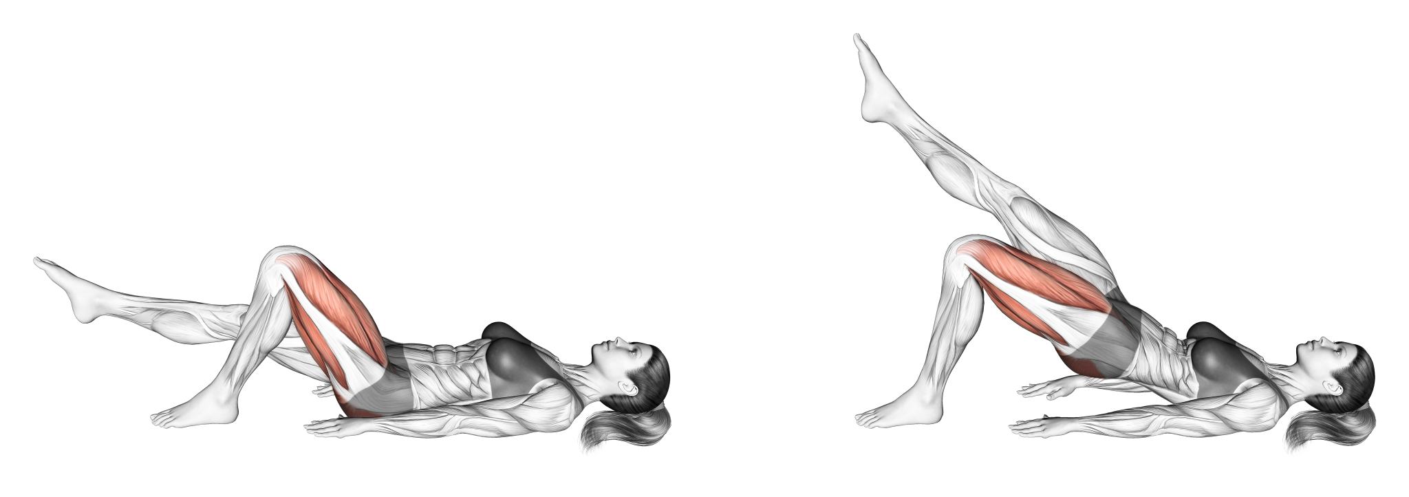 7 Best Glute Bridge Variations (with Pictures!) - Inspire US