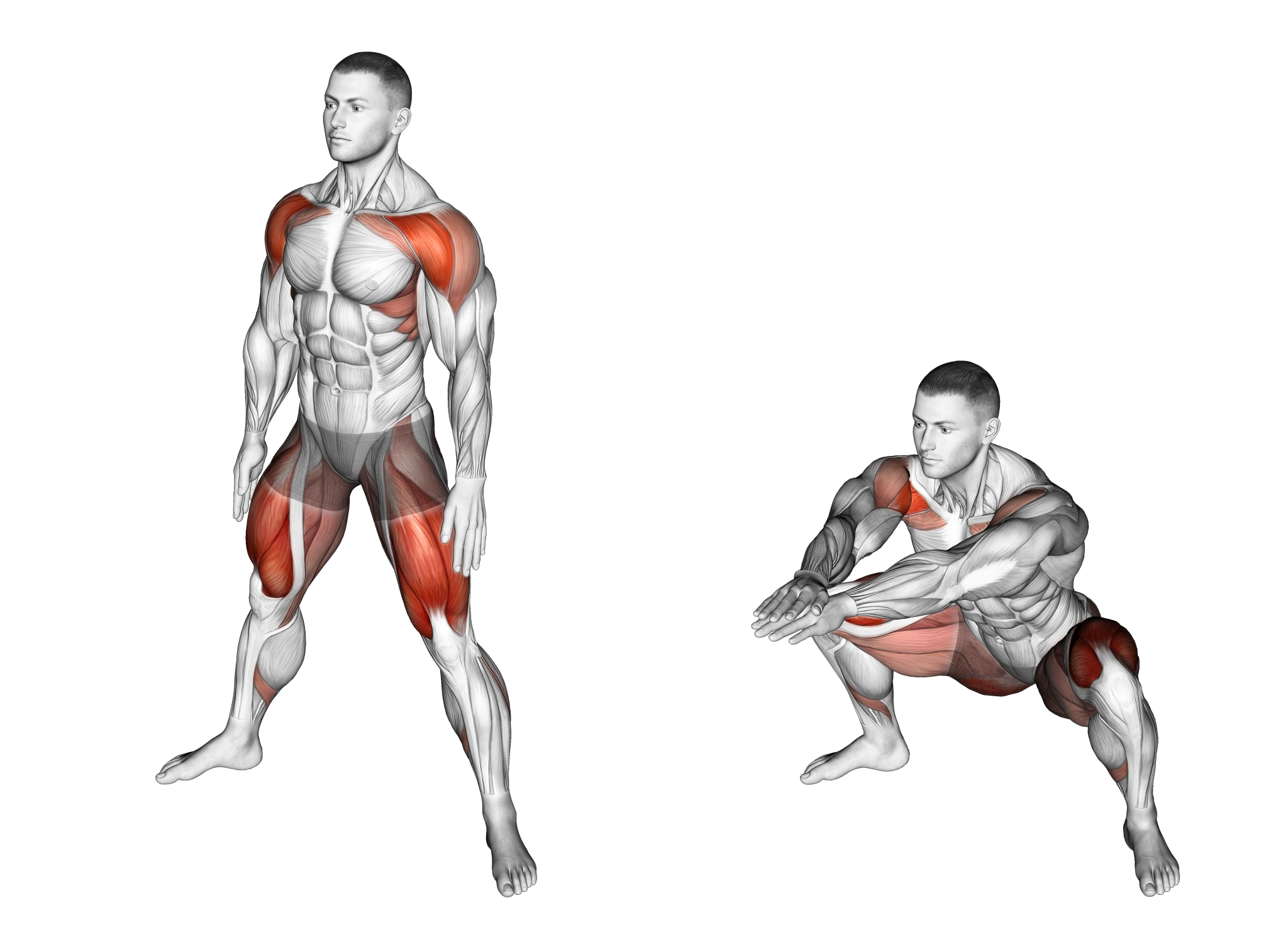 7 Best Bodyweight Squat Variations (with Pictures!) - Inspire US