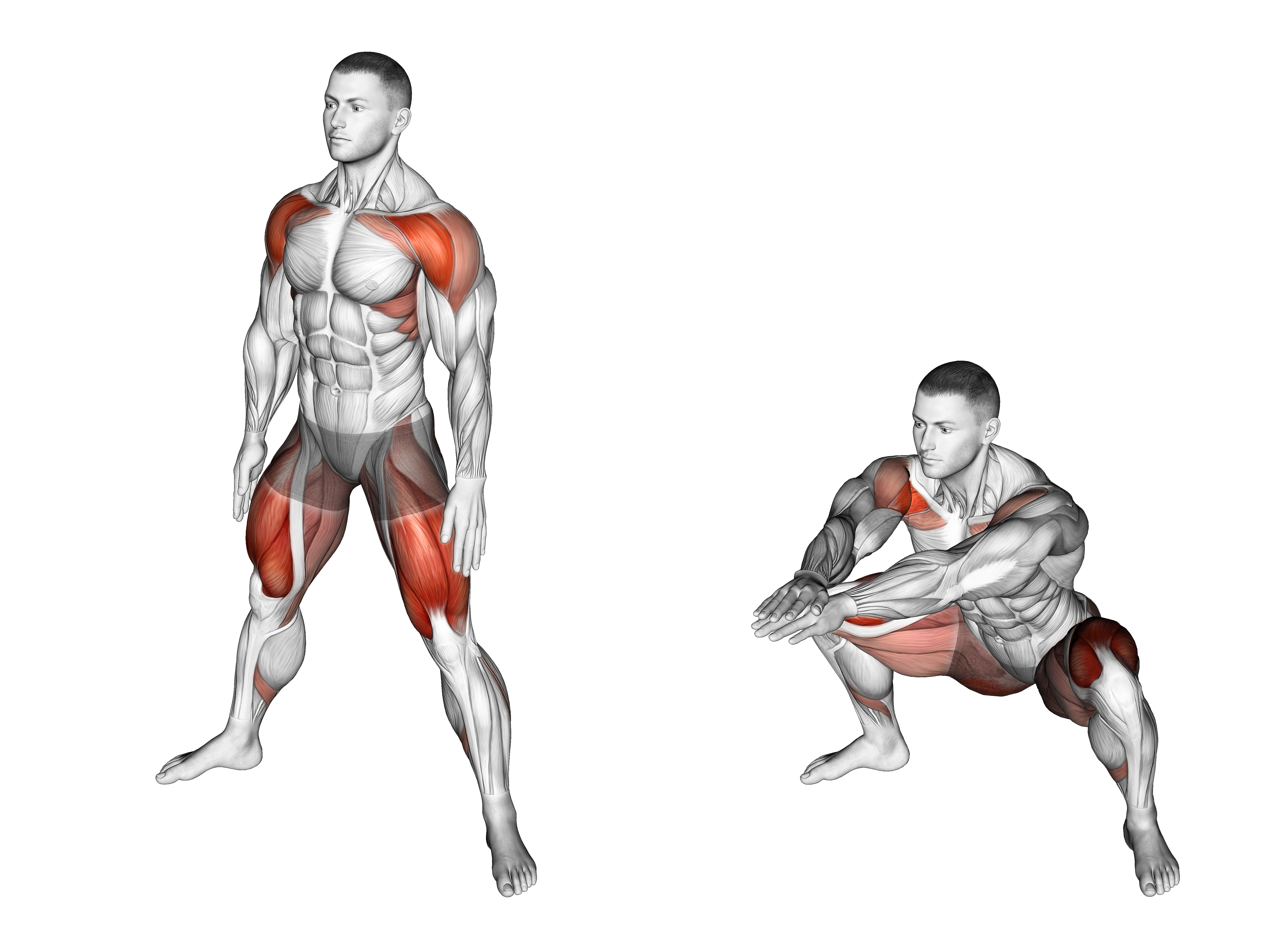 7 Best Bodyweight Squat Variations (with Pictures!) - Inspire US