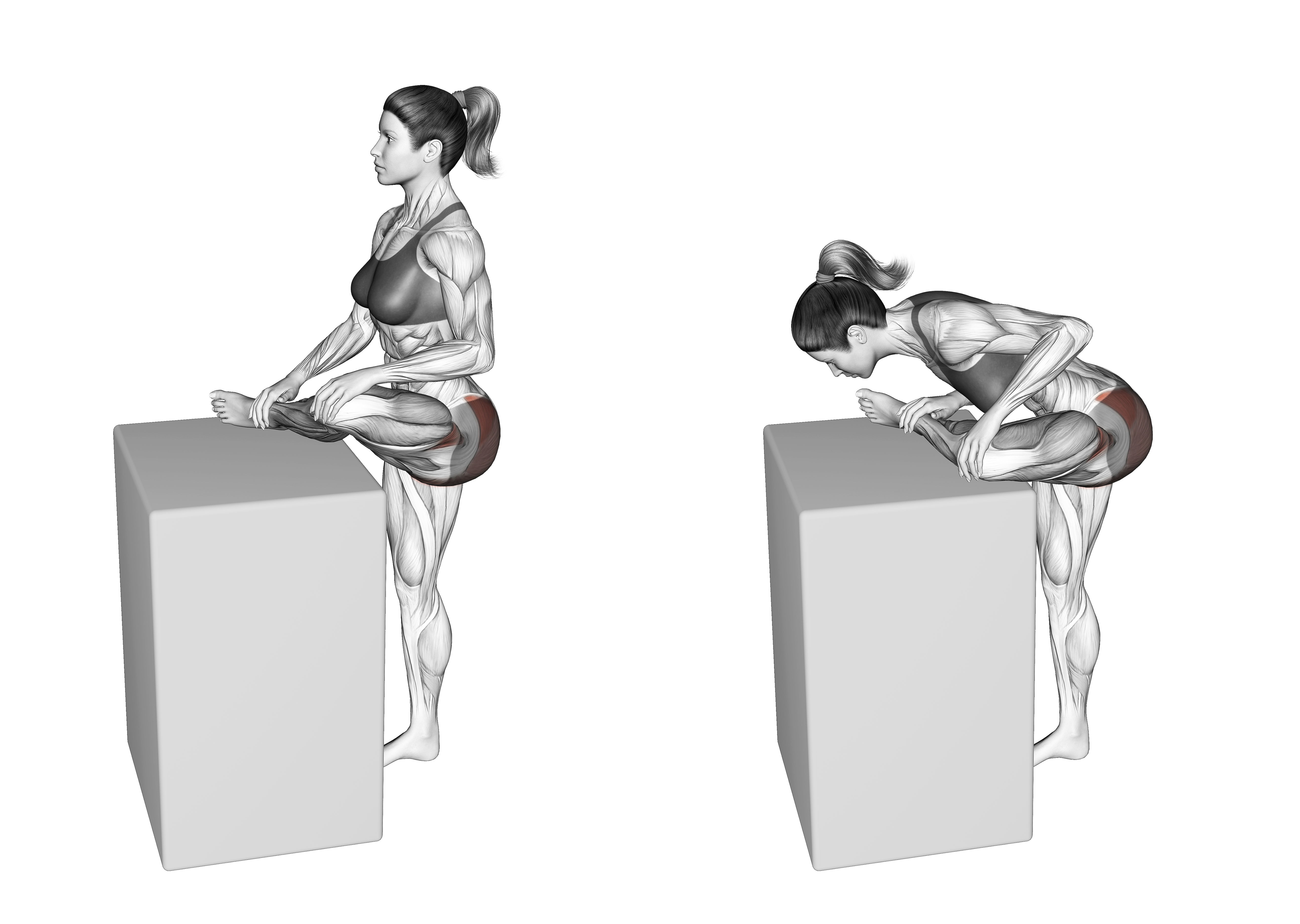 Standing Piriformis Stretch: Benefits, Muscles Targeted, and More ...