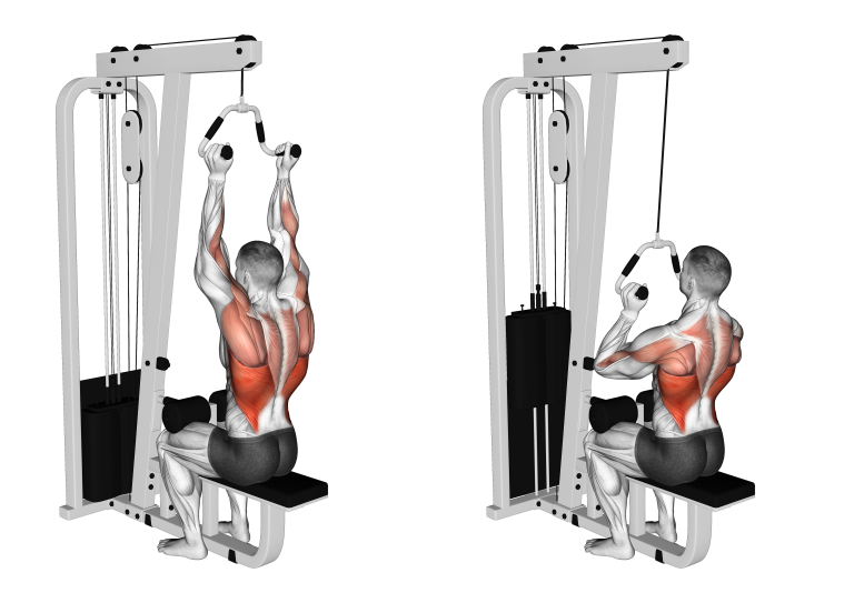 Neutral Grip Lat Pulldown: Benefits, Muscles Worked, and More - Inspire US