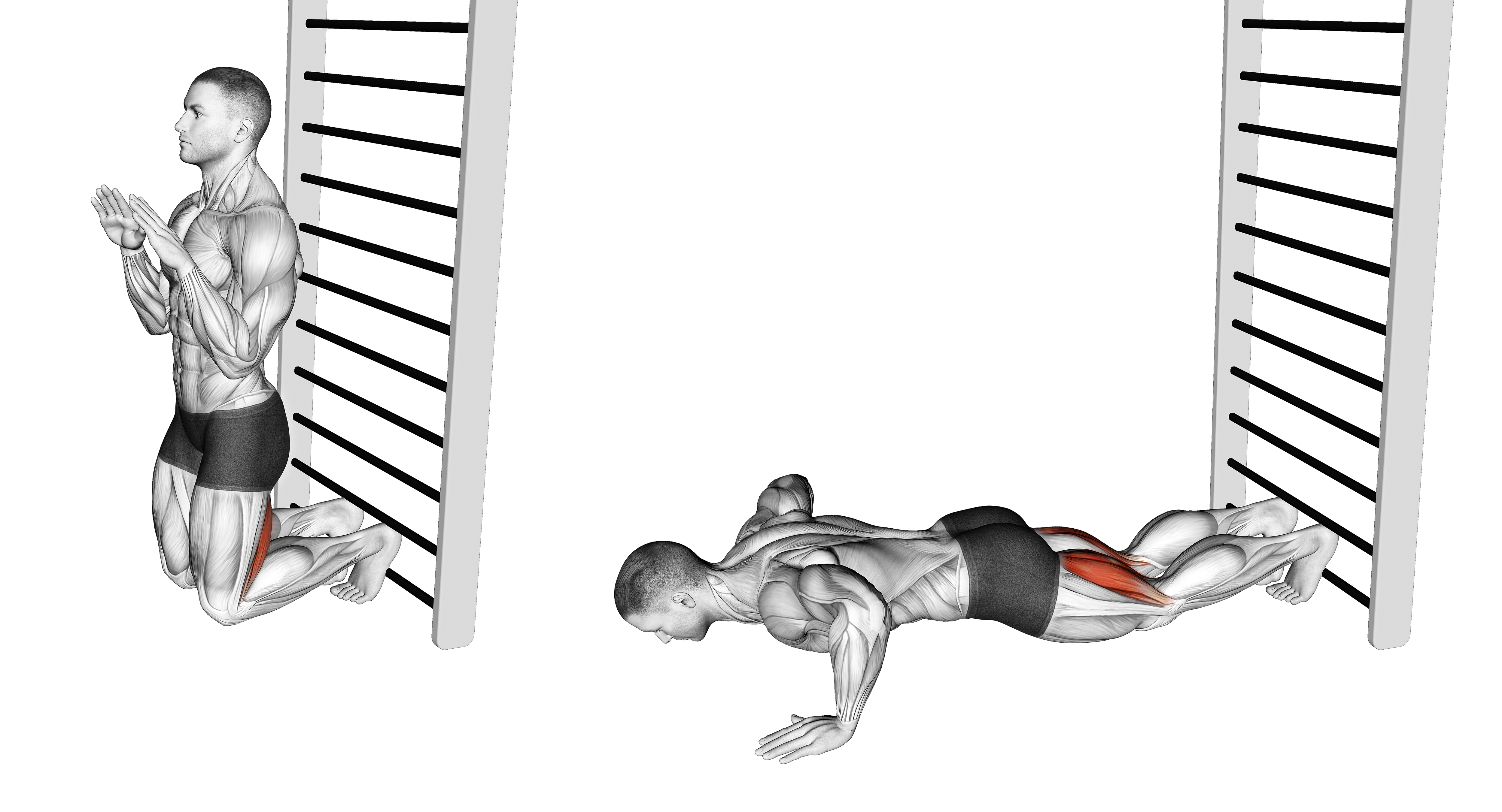 Nordic Curl: Benefits, Muscles Worked, and More - Inspire US