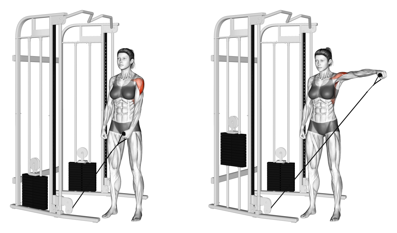 Single Arm Cable Lateral Raises: Benefits, Muscles Worked, and More ...