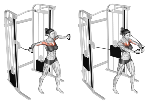 Cable Chest Fly: Muscles Worked and More - Inspire US