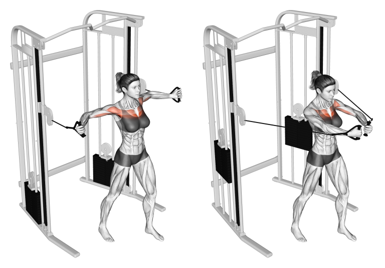 Cable Chest Fly: Muscles Worked and More - Inspire US