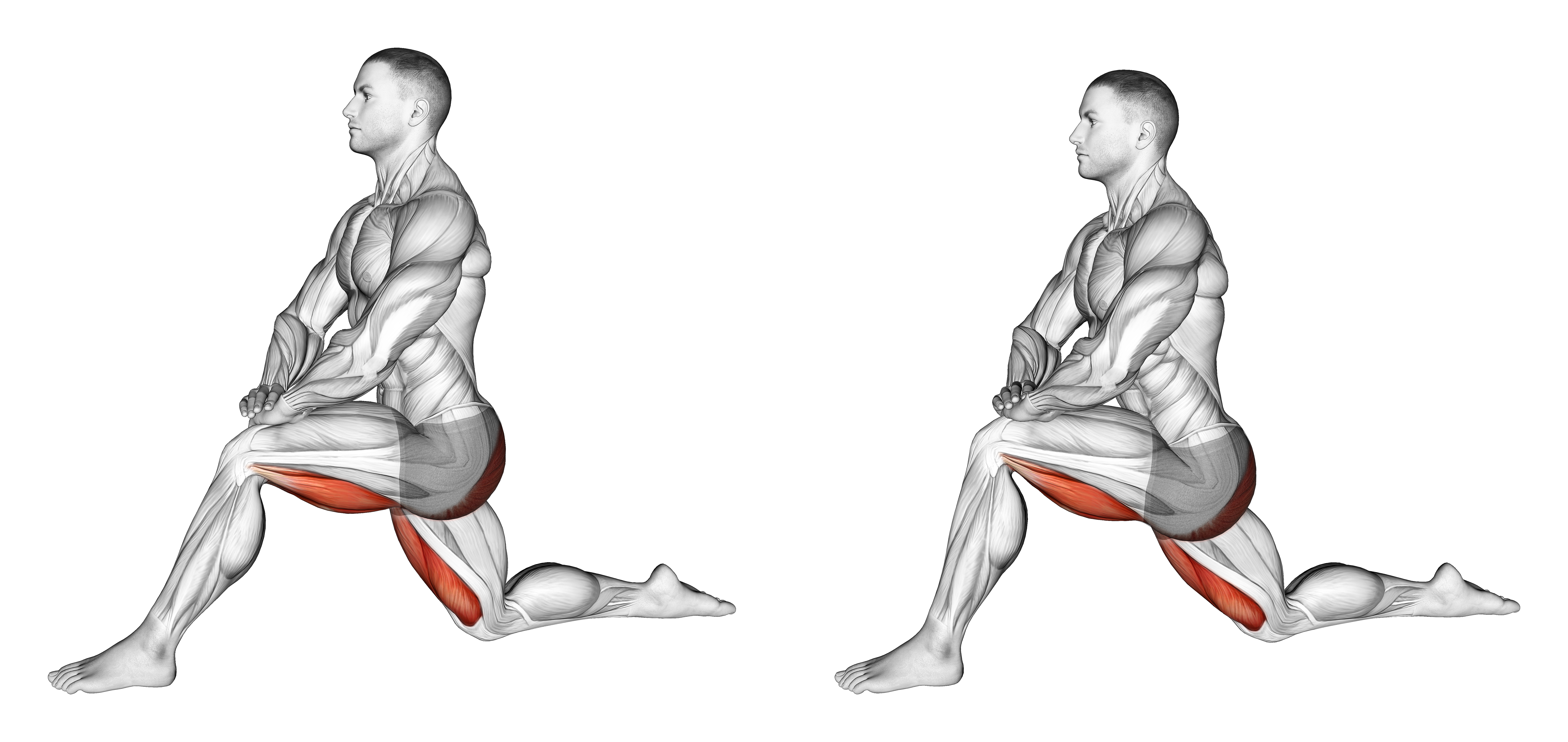Kneeling Lunge Stretch Exercise Overview: Muscles Worked and More ...