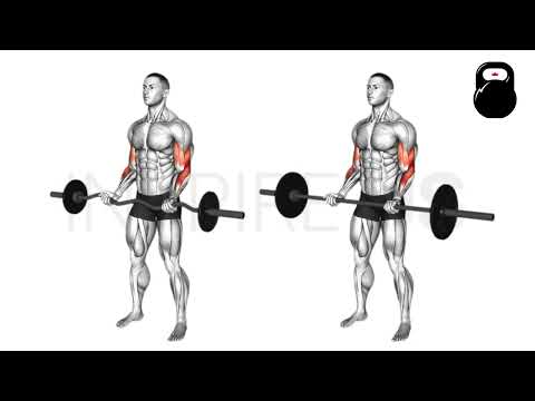 Curl Bar vs Straight Bar: Difference in Equipment Explained - Inspire US