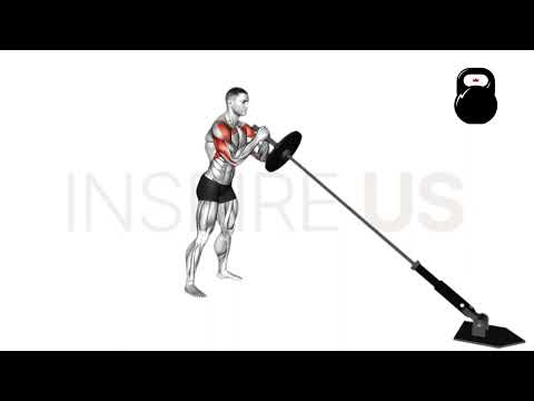 Landmine Press Exercise Overview: Muscles Worked and More - Inspire US