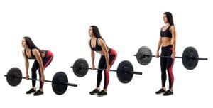 SLDL vs RDL: Kinetic Chains and Biomechanical Differences - Inspire US