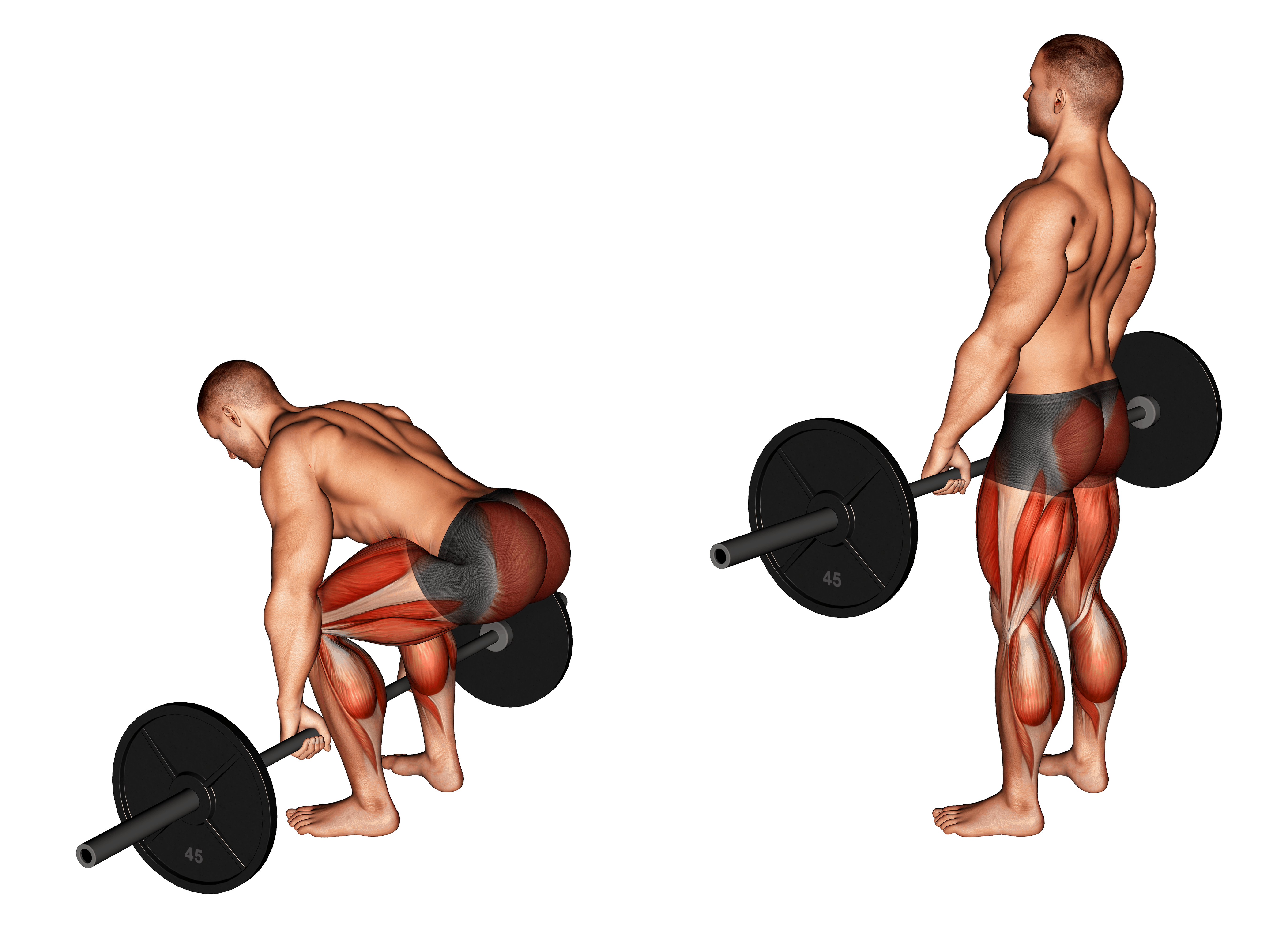 Dumbbell Deadlift: Benefits, Muscles Worked, and More - Inspire US