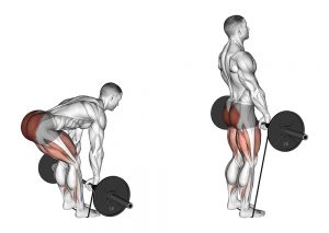 Deadlift Accessory Exercises: Sticking Points Explained - Inspire US