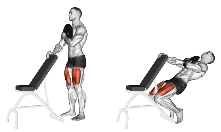 7 Best Vastus Lateralis Exercises (with Pictures!) - Inspire US