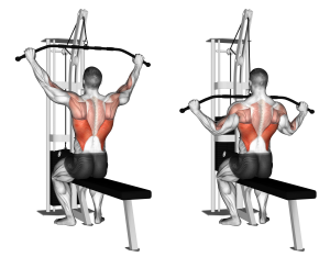 Cable Row Alternatives: How to Target the Same Muscles - Inspire US