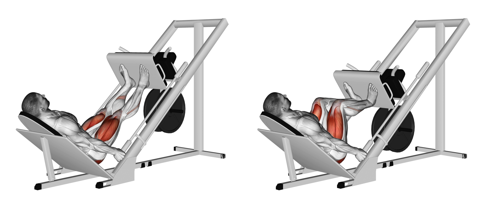 Leg Press: Benefits, Muscles Worked, and More - Inspire US