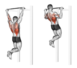 6 Best Vertical Pull Exercises (with Pictures!) - Inspire US