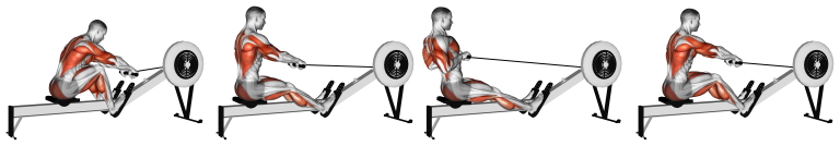 Battle Rope Alternatives: How to Target the Same Muscles - Inspire US