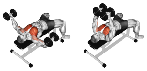 6 Best Horizontal Push Exercises (with Pictures!) - Inspire US