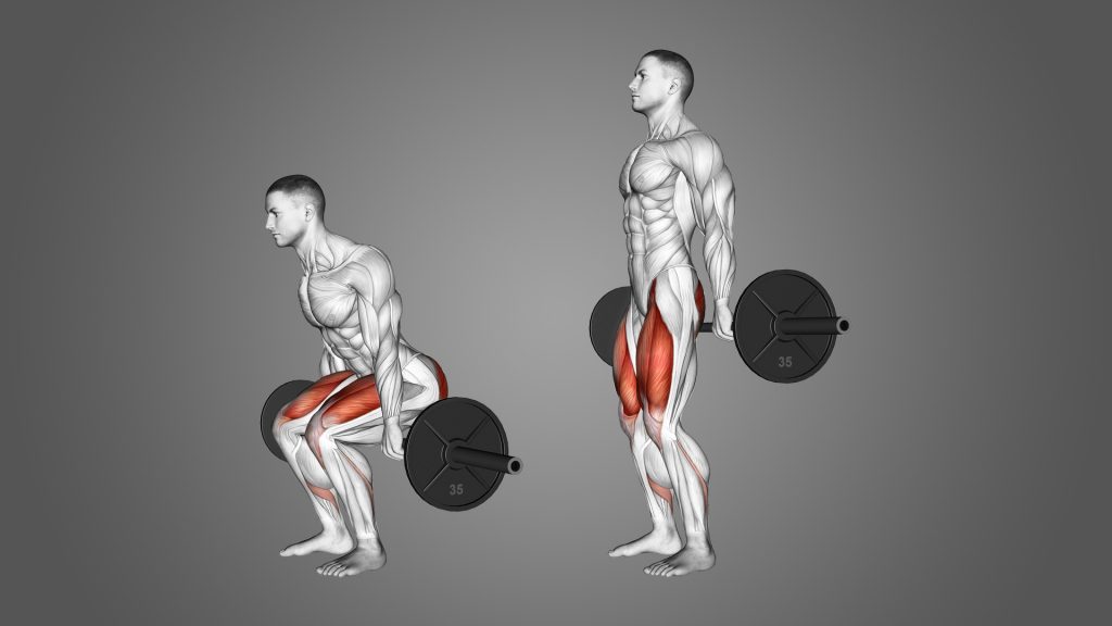 Reverse Barbell Hack Squat