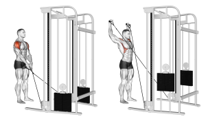 Cable Y Raise Benefits & Muscles Worked (With Pictures) - Inspire US