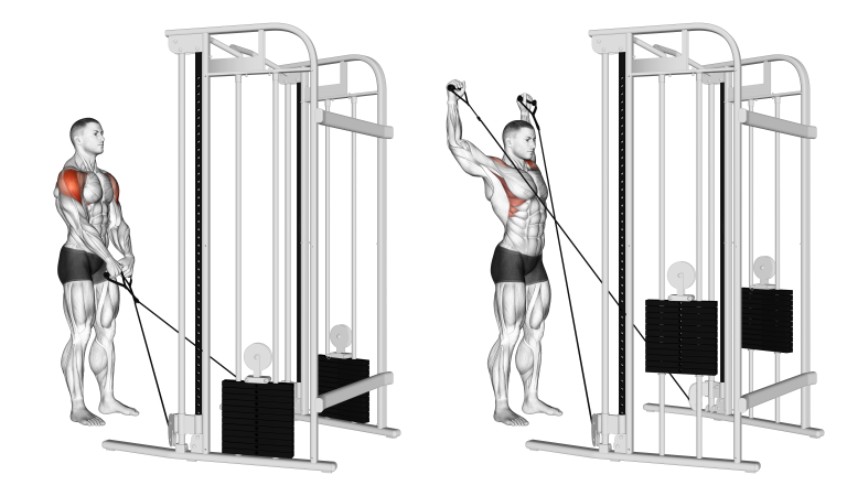 Cable Y Raise Benefits & Muscles Worked (With Pictures) - Inspire US