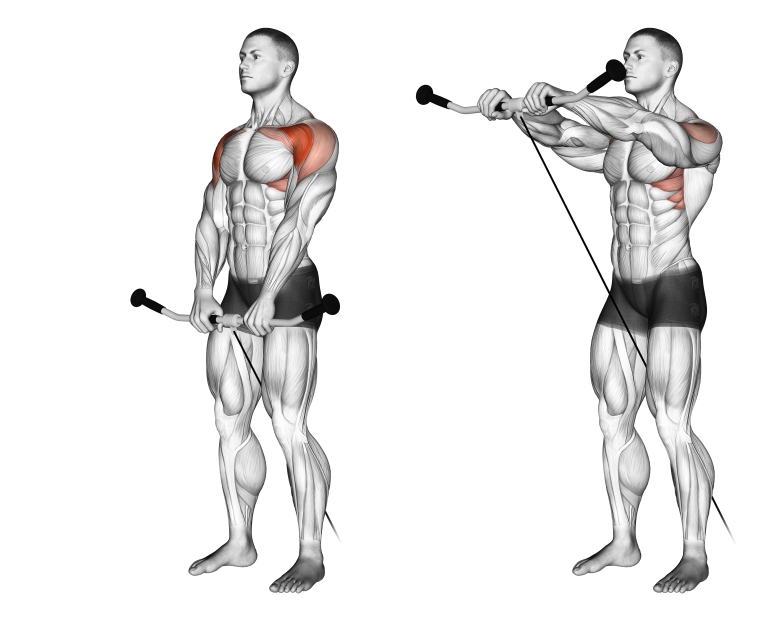 6 Best Cable Machine Shoulder Exercises (with Pictures!) - Inspire US