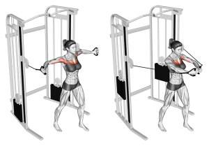 6 Best Cable Fly Alternatives (with Pictures!) - Inspire US