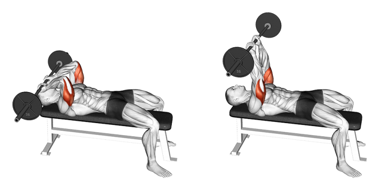 9 Great Triceps Pushdown Alternatives to Maximize Gains - Inspire US