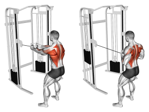 5 Highly Effective Cable Row Alternatives (With Pictures) - Inspire US