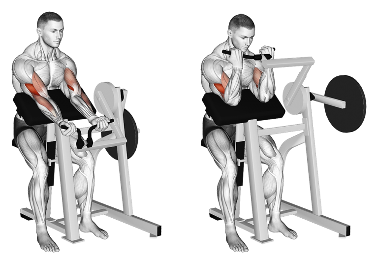 6 Best Concentration Curls Alternatives (with Pictures!) - Inspire US