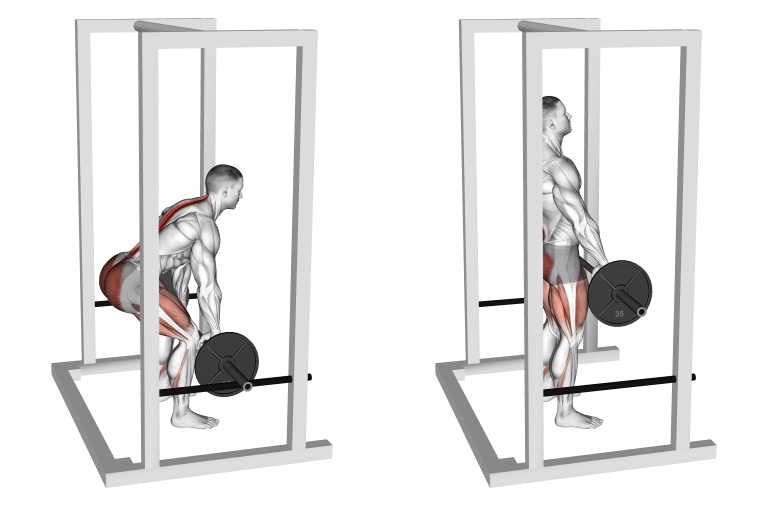 12 Best Lower Body Pulling Exercises (with Pictures!) - Inspire US